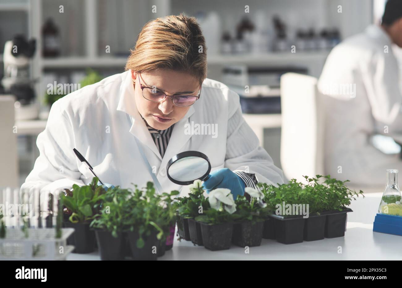 Her jobs all about discovery. an attractive young female scientist analyzing plant samples using ...