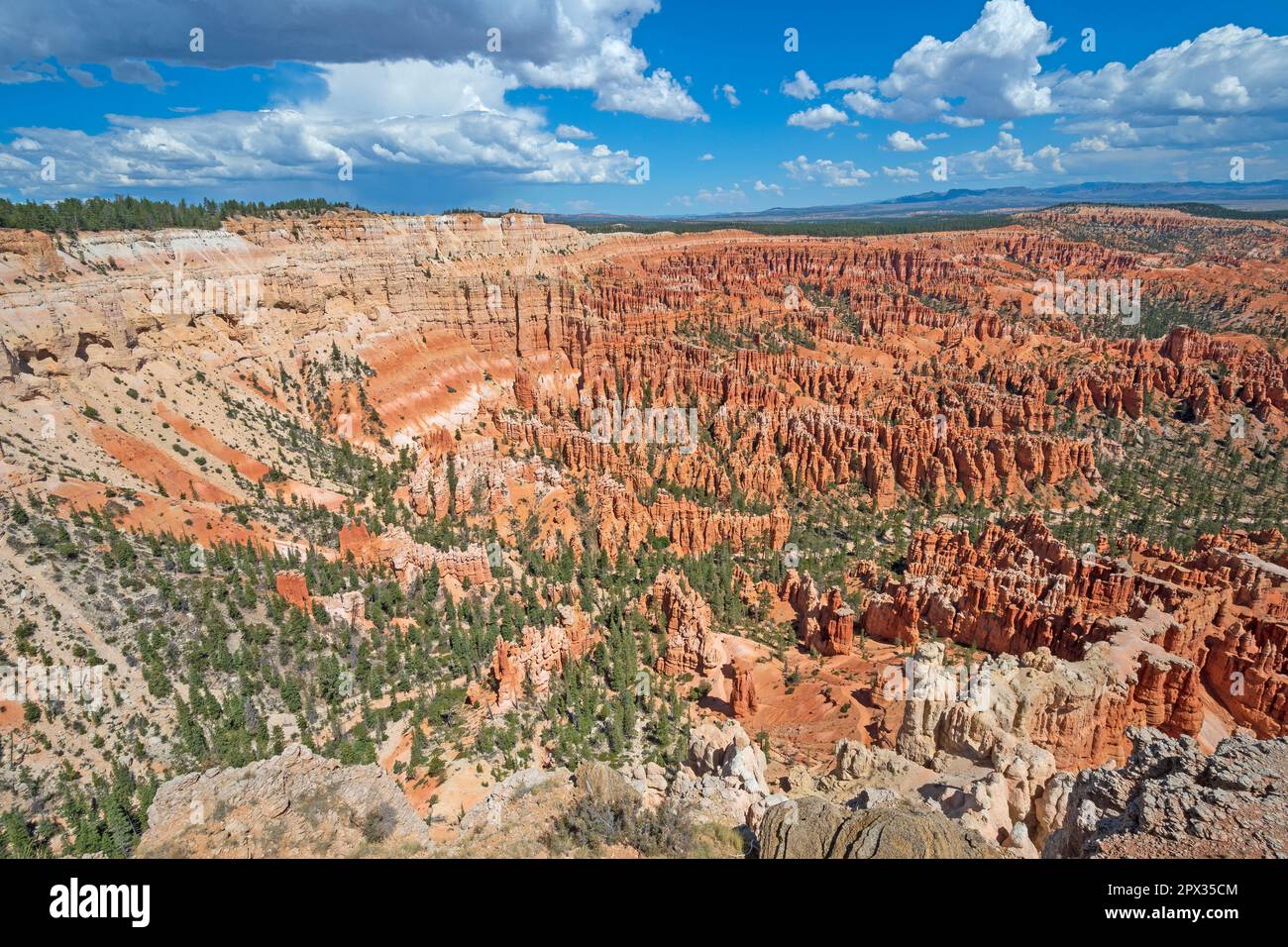 Hoodoo Heaven Panorama at Bryce Point in Bryce Canyon National Park in ...