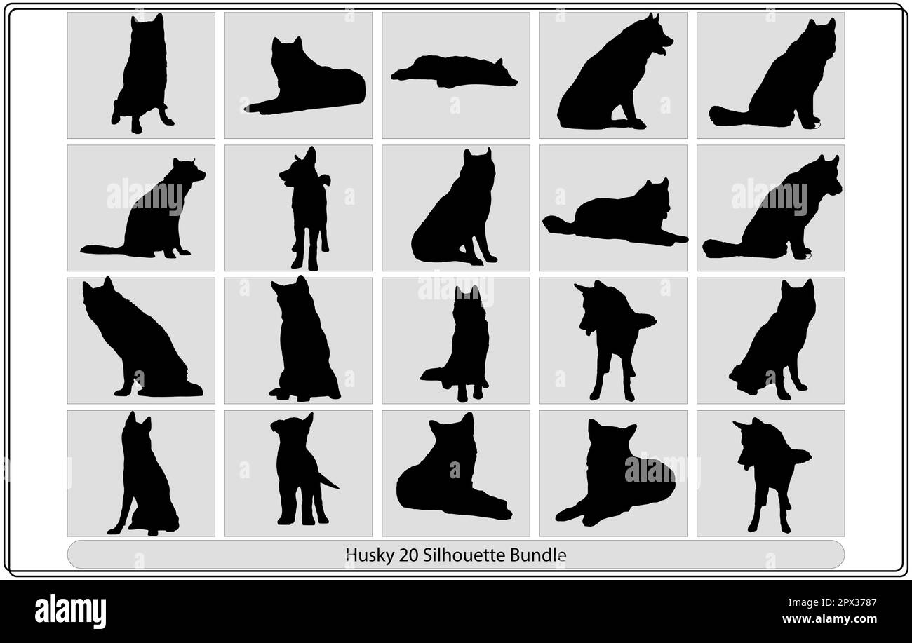 Doberman puppy running Black and White Stock Photos & Images - Alamy