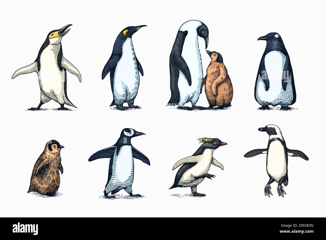 Old worth Stock Vector Images - Alamy