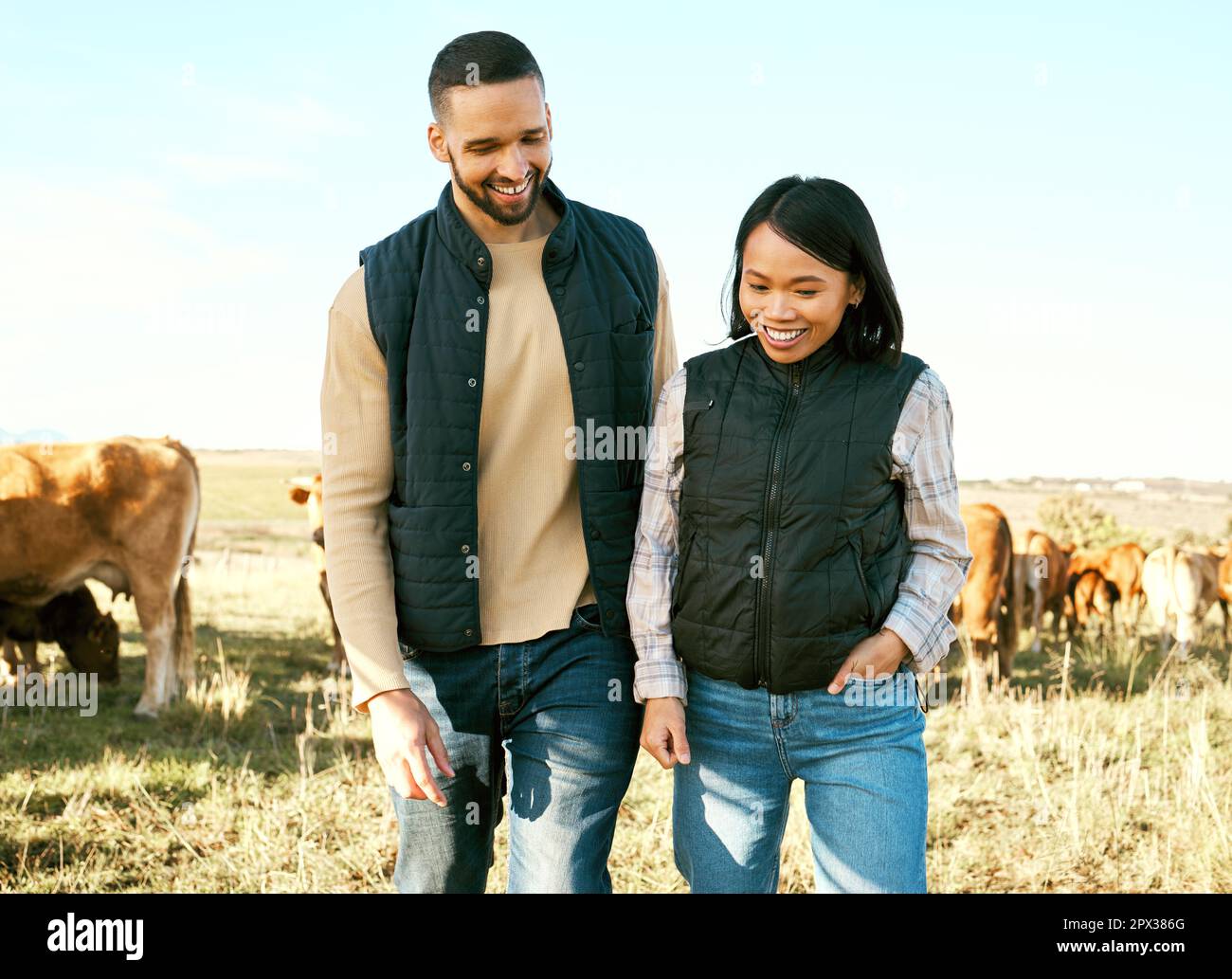 Outdoors animals relax sunshine hi-res stock photography and images - Alamy