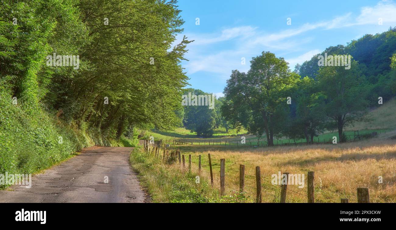 Summer landscape view of big trees, small road in the countryside. A ...