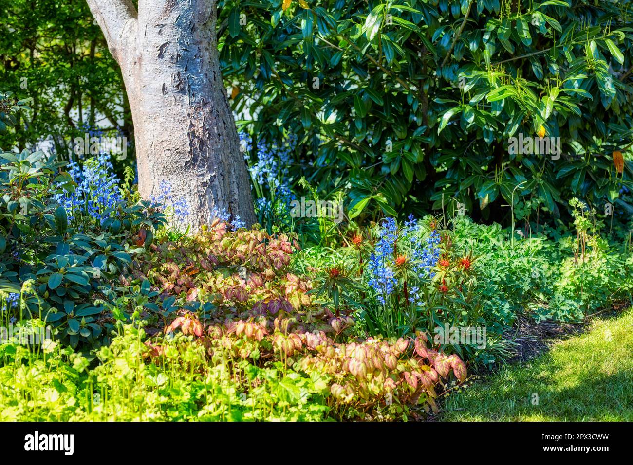 Beautiful botanical garden landscape with a variety of lush flowers in ...