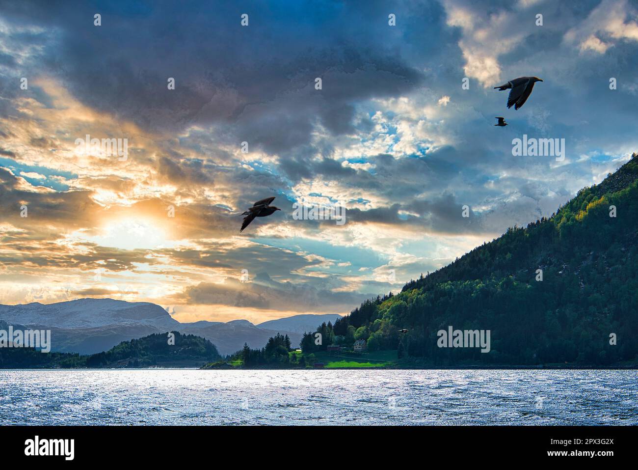 Norway Selje, a fantastic fishing spot . A beautiful landscape. A dream ...