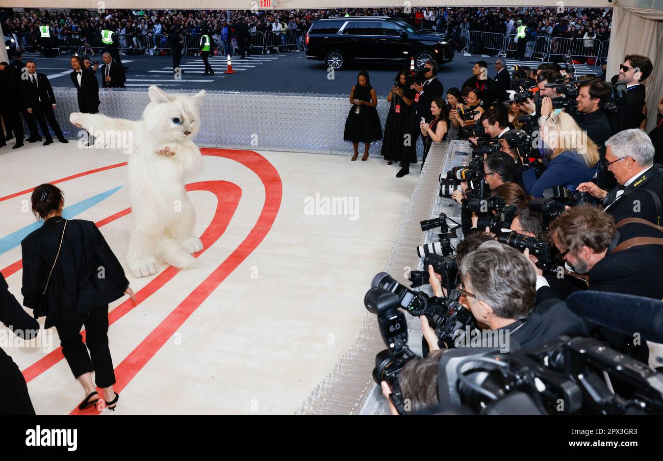 Choupette cat hi-res stock photography and images - Alamy