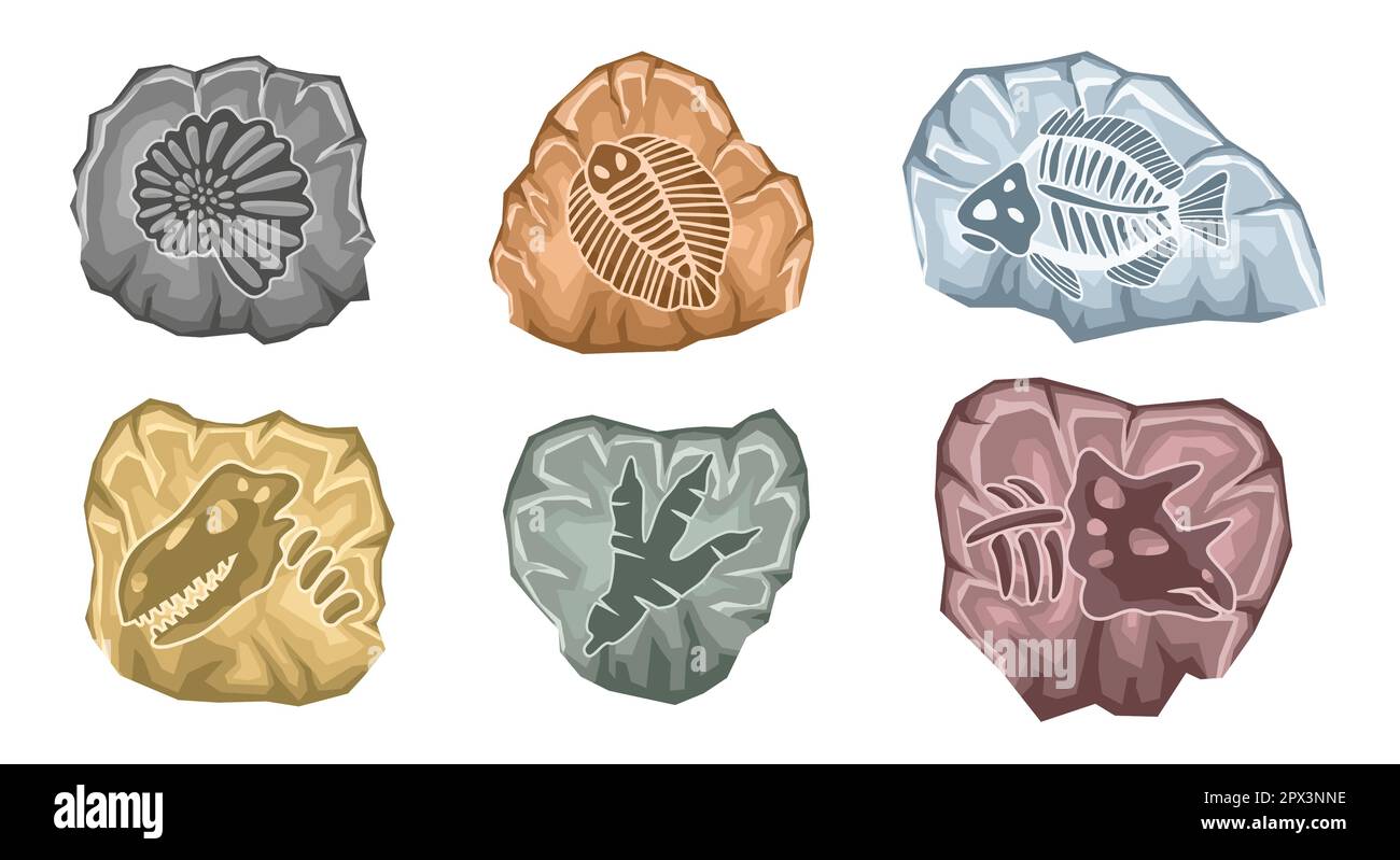 Archeologic fossil dig set Stock Vector Image & Art - Alamy