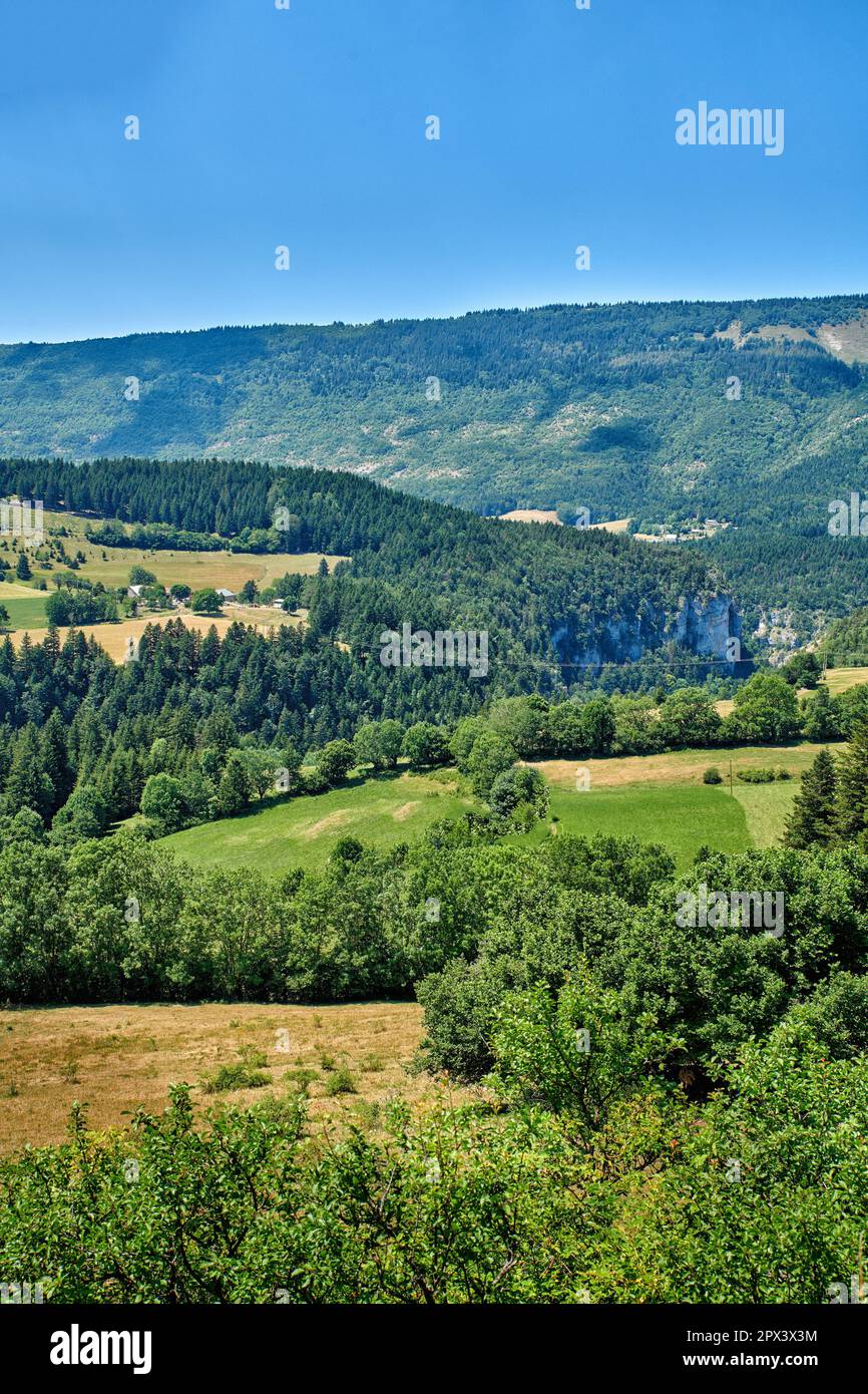 Farmland with lush meadows, hills and a mountain covered with greenery ...