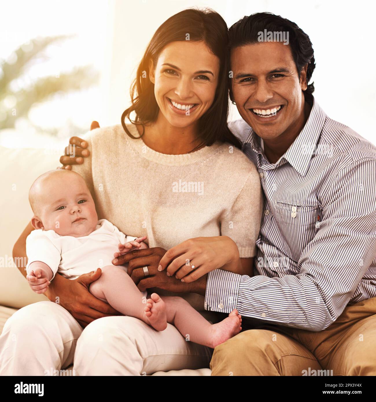 The newest addition to our household. Cropped portrait of an ...