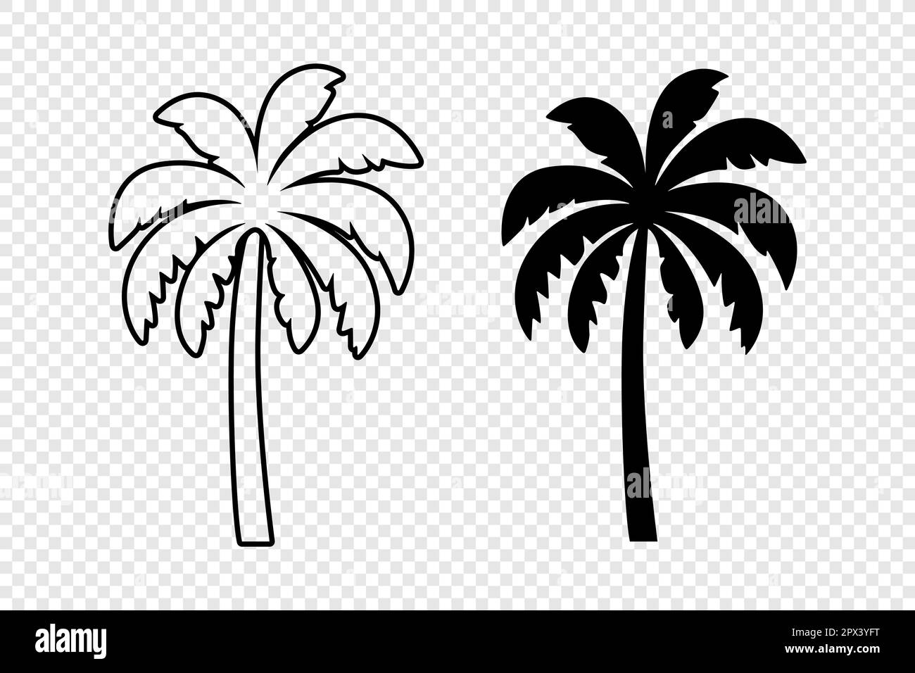Vector Palm Trees, Palm Tree Icon Set Isolated. Palm Silhouettes ...