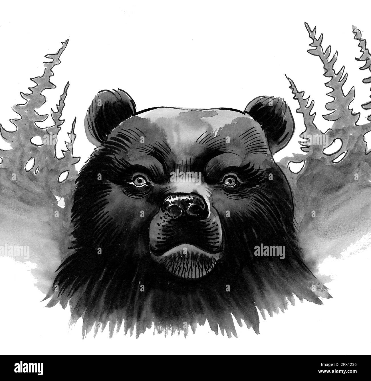 Angry bear in the woods. Hand-drawn ink on paper black and white ...