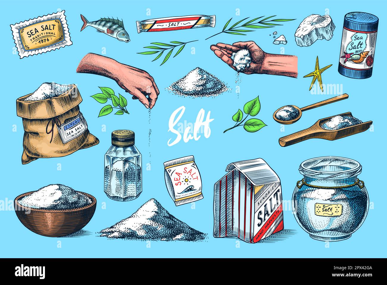 Sea salt set. Glass bottles, packaging and and leaves, wooden spoons ...