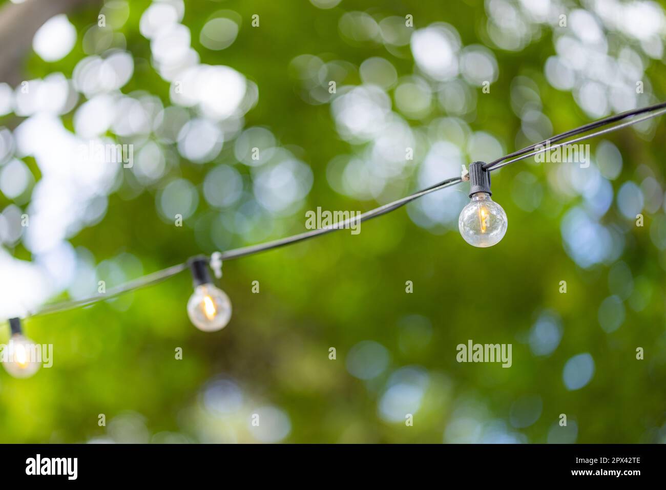 Transparent electric bulb chain in the garden Stock Photo - Alamy
