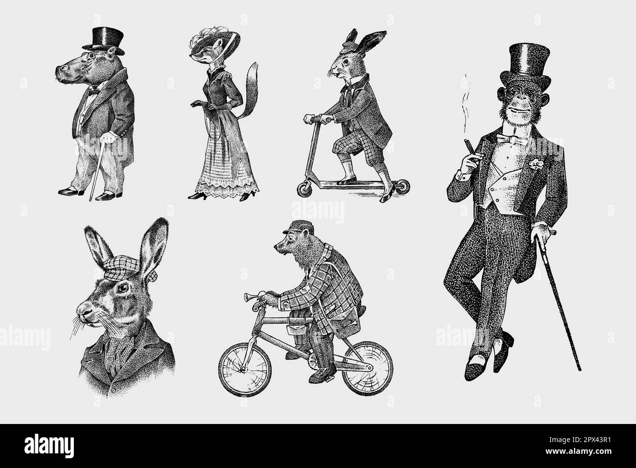 Fashion Dog. Animal characters. Brown bear rides a bike. Fox and monkey ...