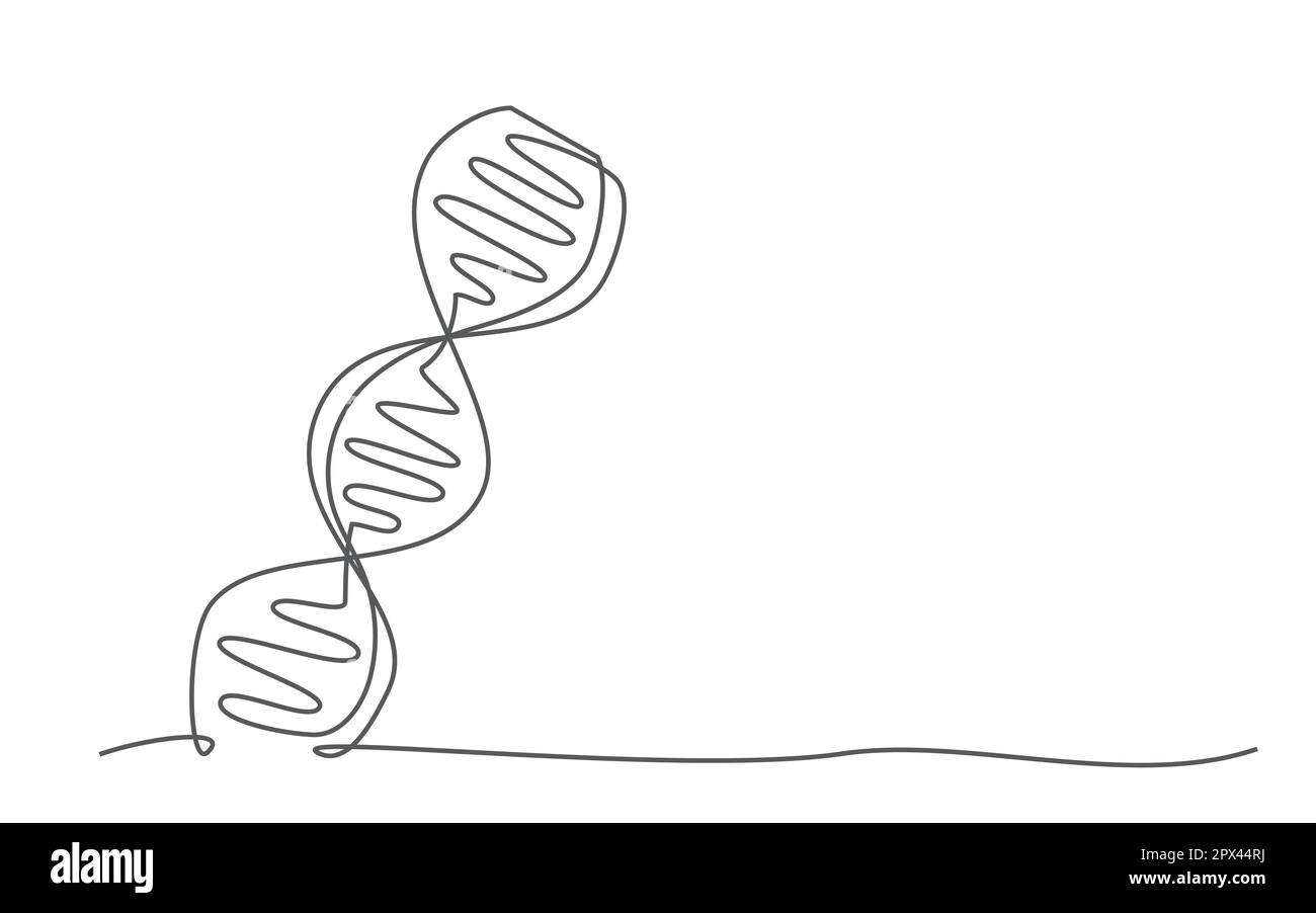 DNA One line drawing on white background Stock Vector Image & Art - Alamy