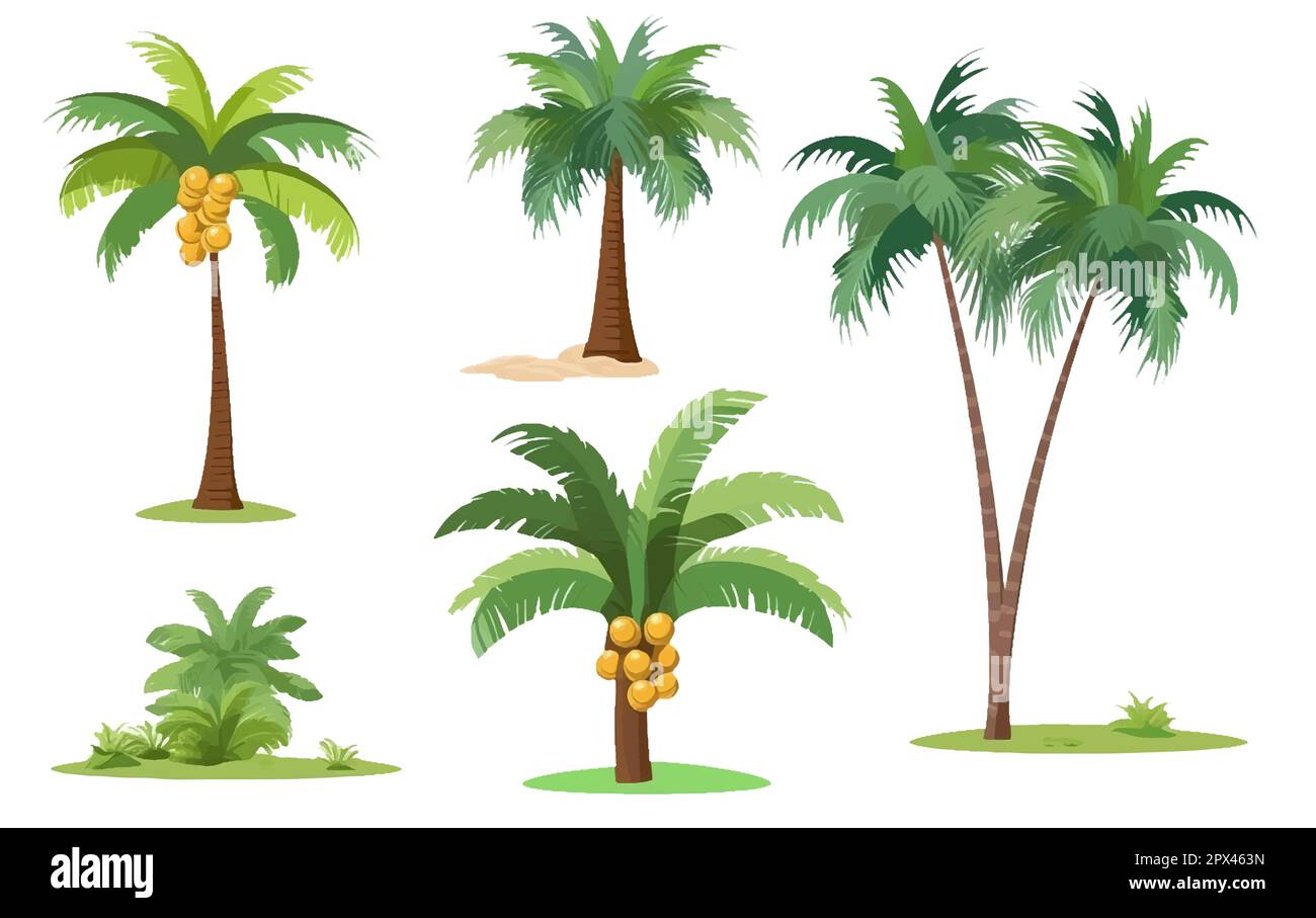 set vector collection illustration of palm tree tropical isolated on white background Stock ...