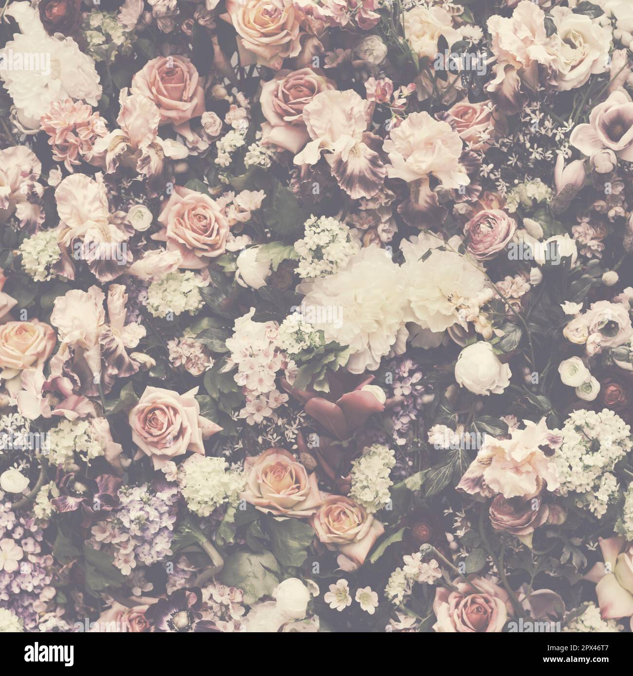 Pastel Floral Backgrounds Tumblr