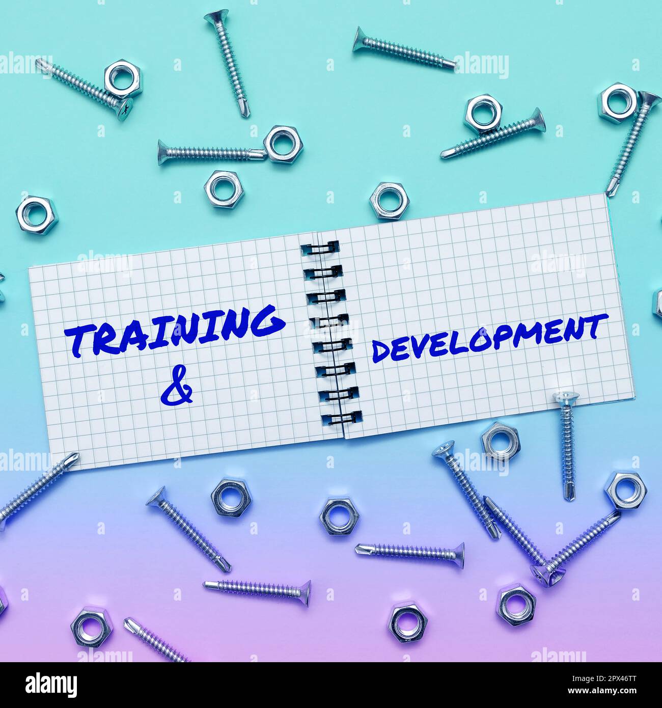 Conceptual display Training Development, Business overview Organize ...