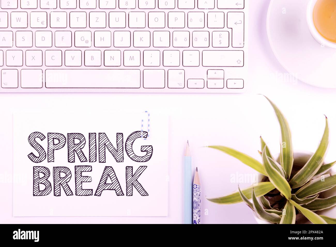 Text caption presenting Spring Break, Word Written on Vacation period ...