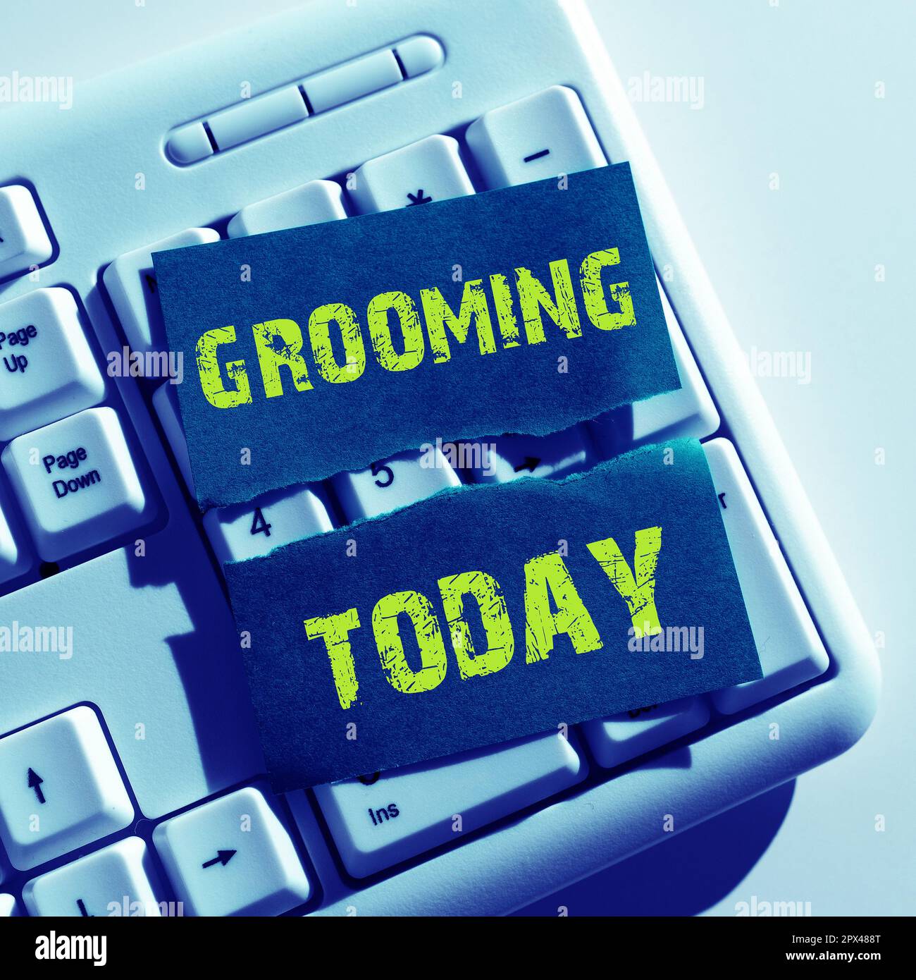 Inspiration showing sign Grooming, Word Written on hygienic care and ...