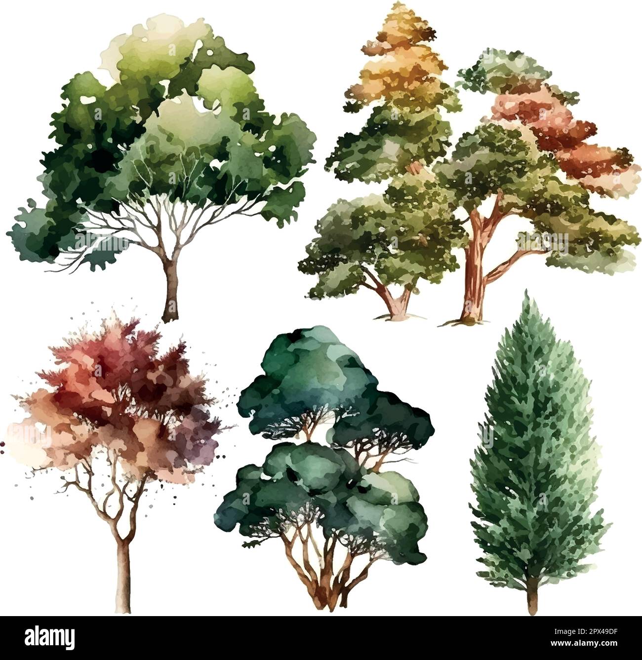 Watercolor tree hand draw vector nature painting Stock Vector Image ...