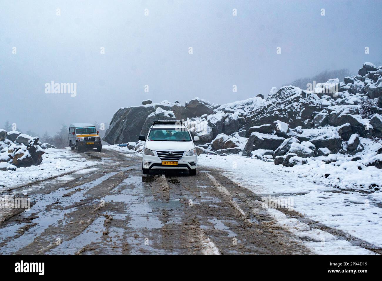 Yumthang Valley, North Sikkim is a paradise on earth, which is full of ...
