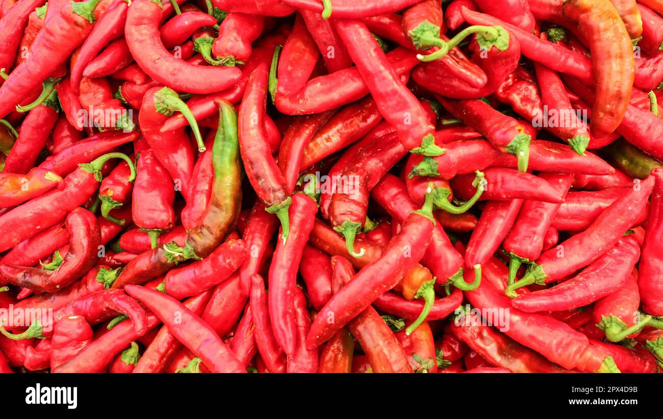 Top view on red pointed peppers displayed in food market Stock Photo ...