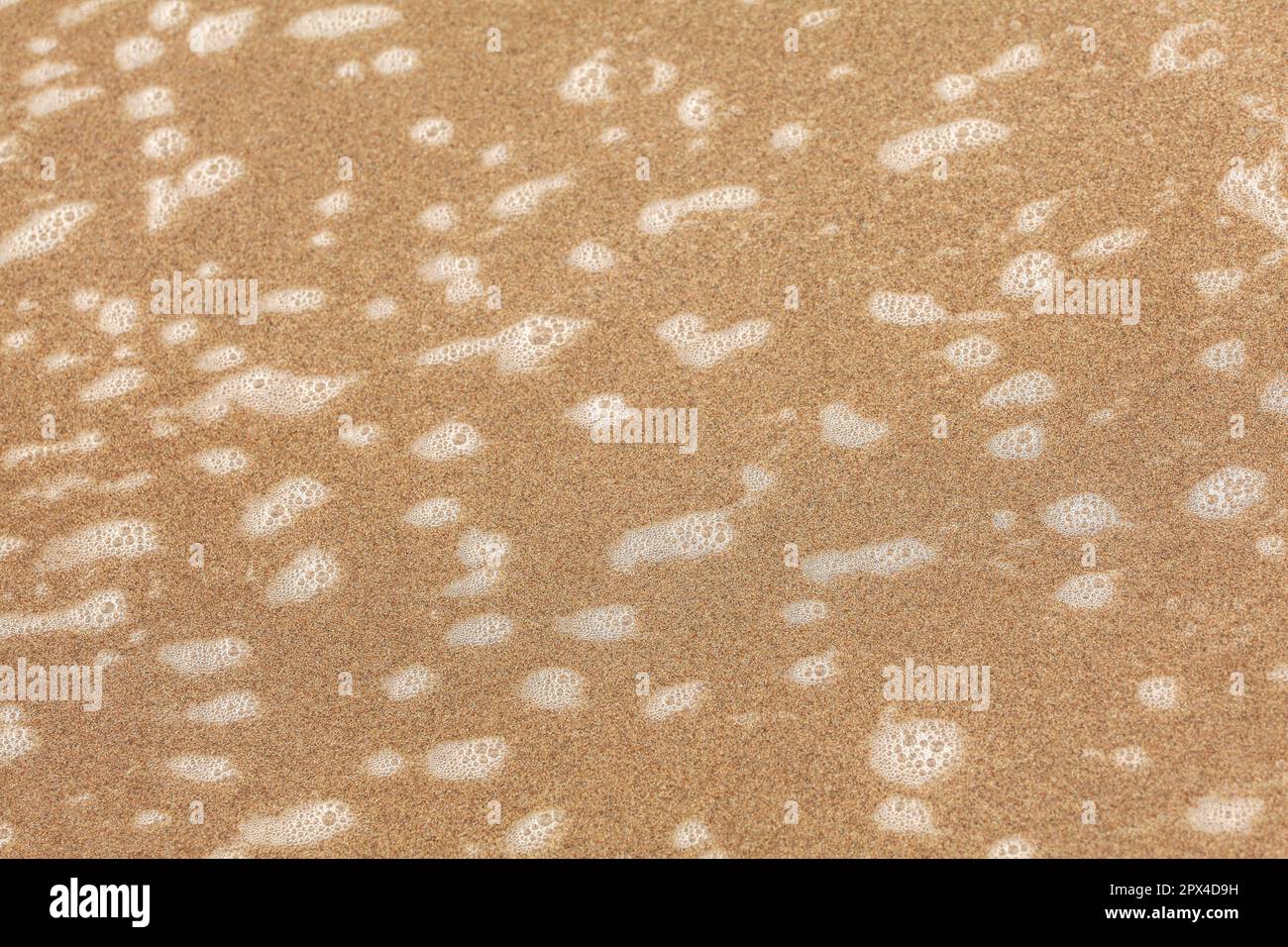 Small patches of white foam on beach sand wet from ocean water ...