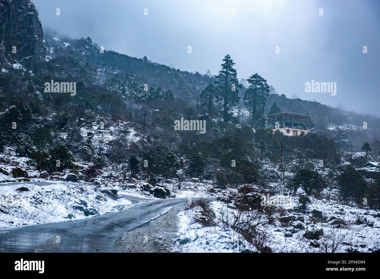 Yumthang Valley, North Sikkim is a paradise on earth, which is full of ...