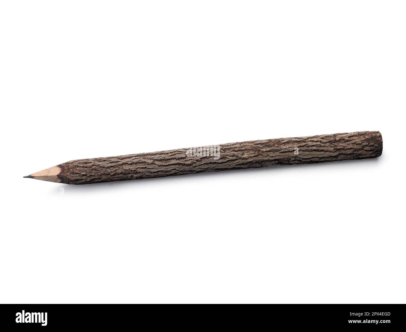 Branch pencil on a white background Stock Photo - Alamy