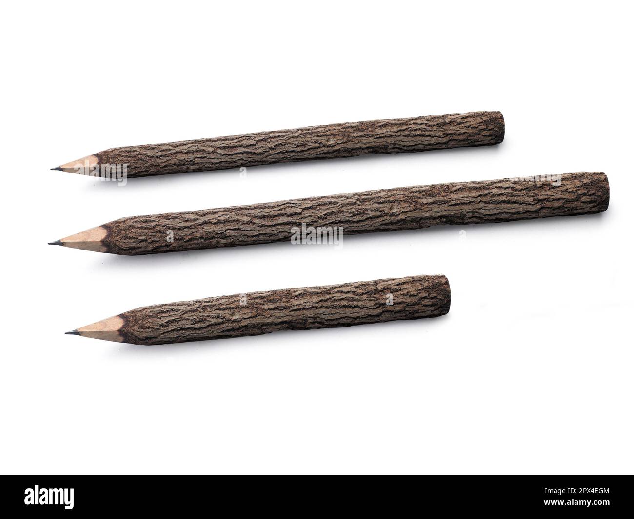 Branch pencil on a white background Stock Photo - Alamy