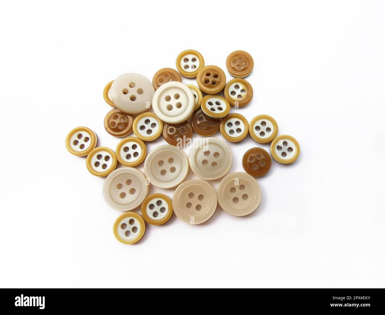 clothing buttons on white background Stock Photo - Alamy