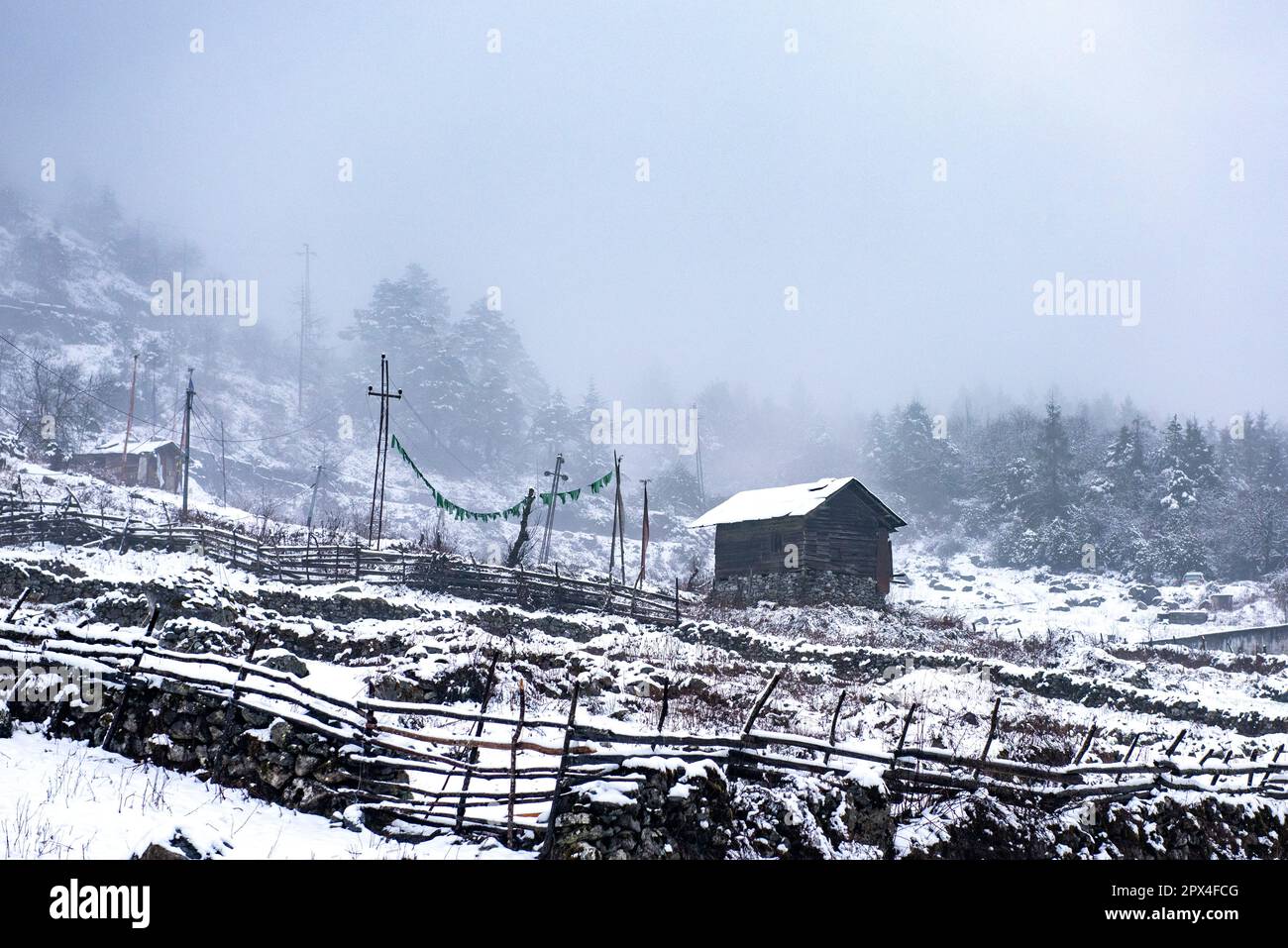 Yumthang Valley, North Sikkim is a paradise on earth, which is full of ...