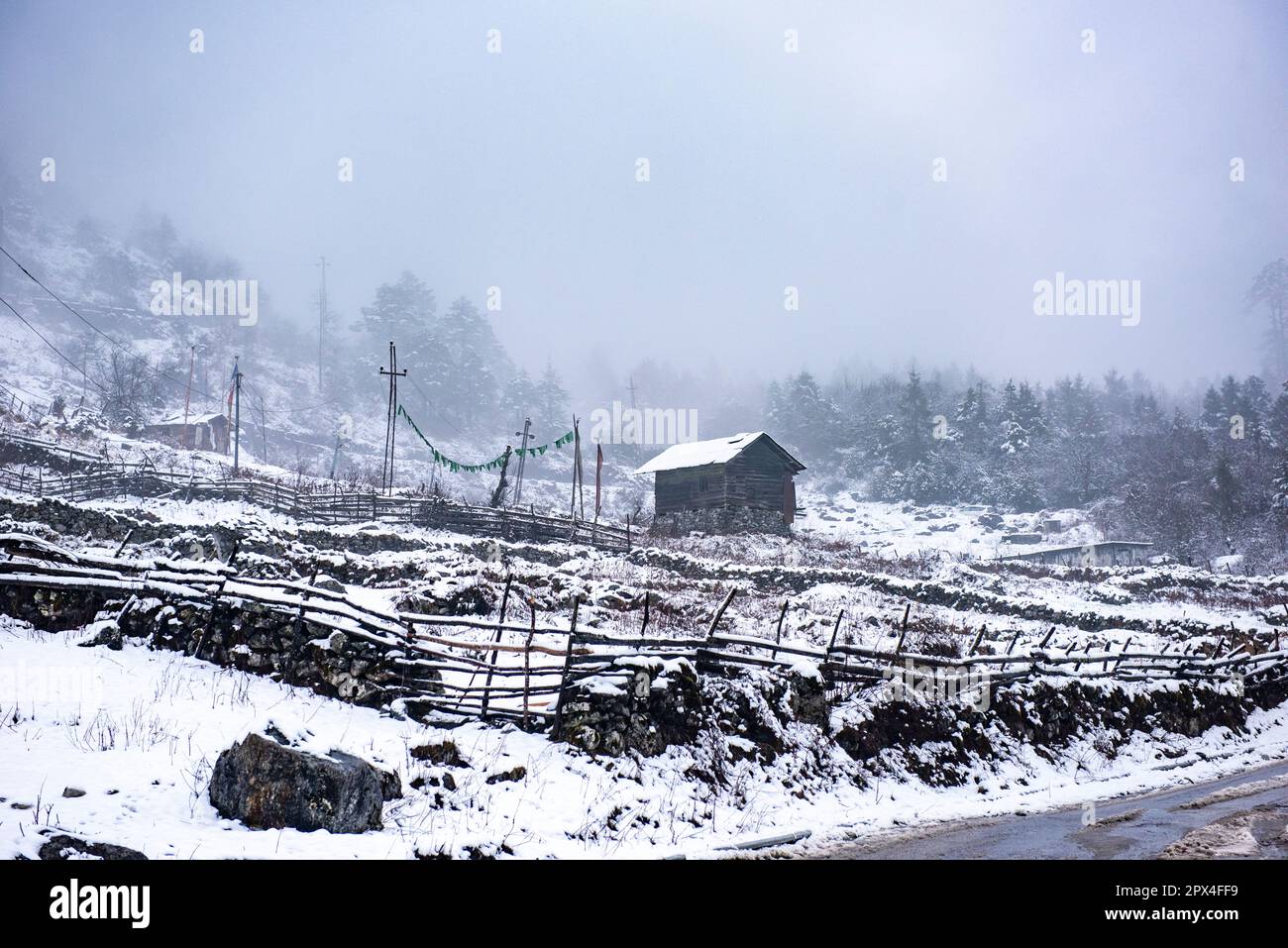Yumthang Valley, North Sikkim is a paradise on earth, which is full of ...