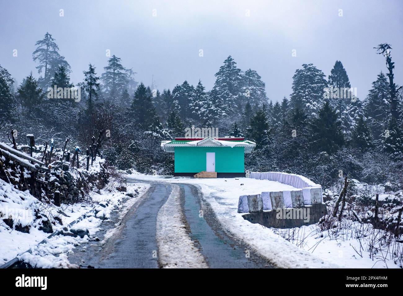 Yumthang Valley, North Sikkim is a paradise on earth, which is full of ...