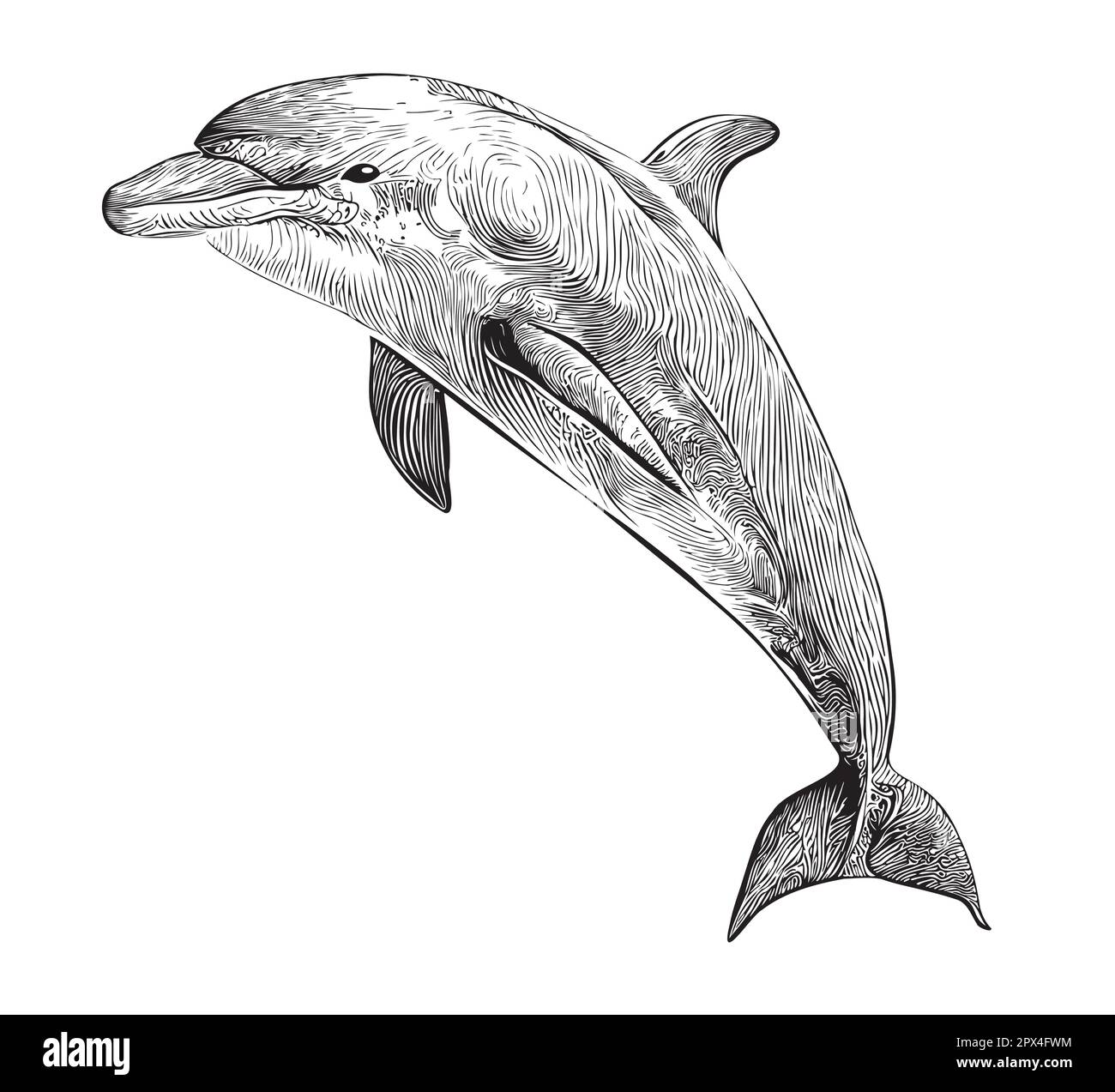 Dolphin sketch hand drawn in doodle style illustration Stock Vector ...