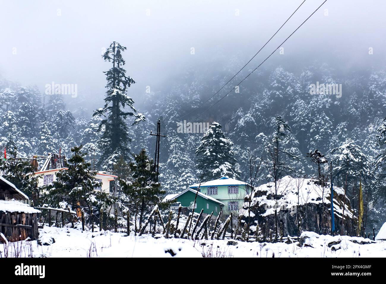 Yumthang Valley, North Sikkim is a paradise on earth, which is full of ...