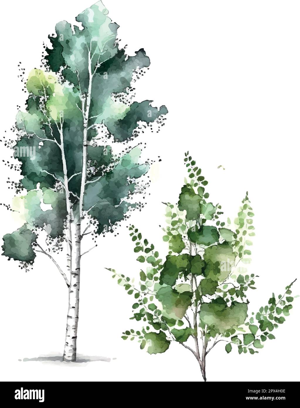 Watercolor birch trees Russia tree Design element for wallpapers, web ...