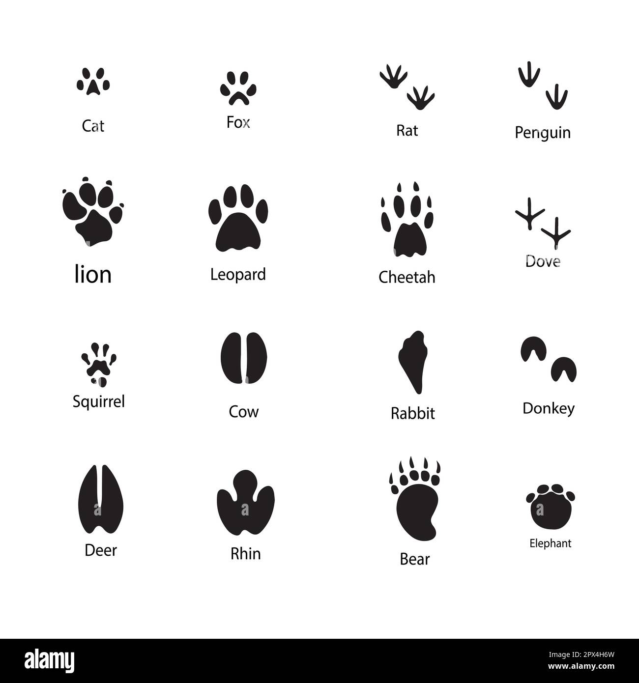 Elephant footprint africa Stock Vector Images - Alamy