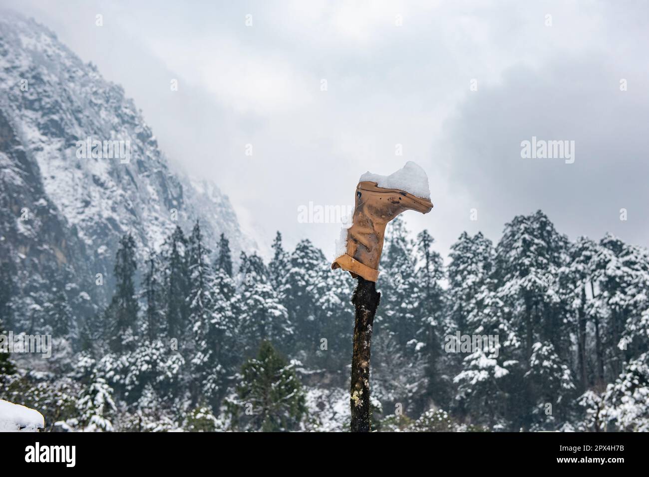 Beautiful sikkim scenaries hi-res stock photography and images - Alamy