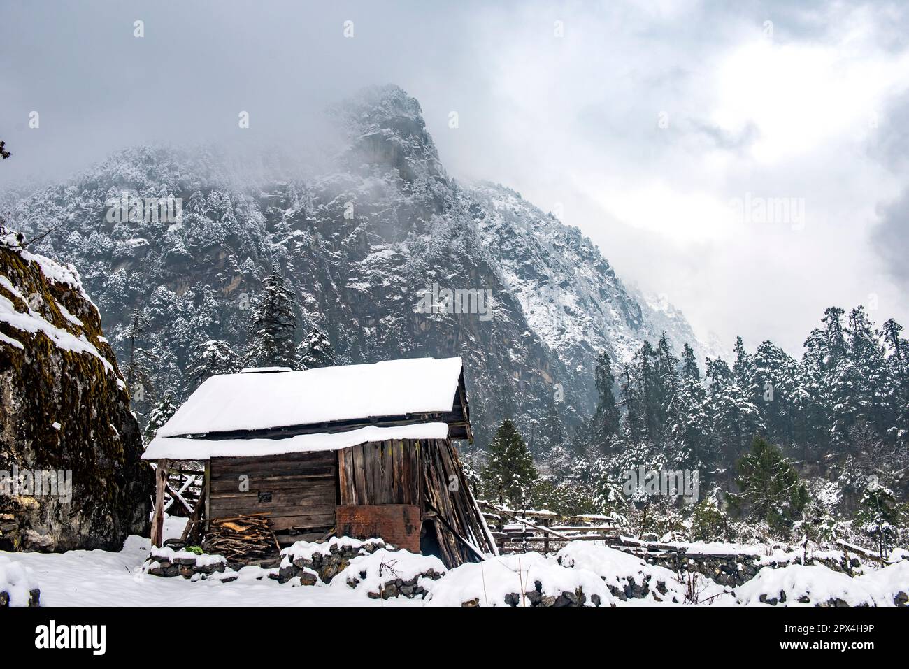 Yumthang Valley, North Sikkim is a paradise on earth, which is full of ...