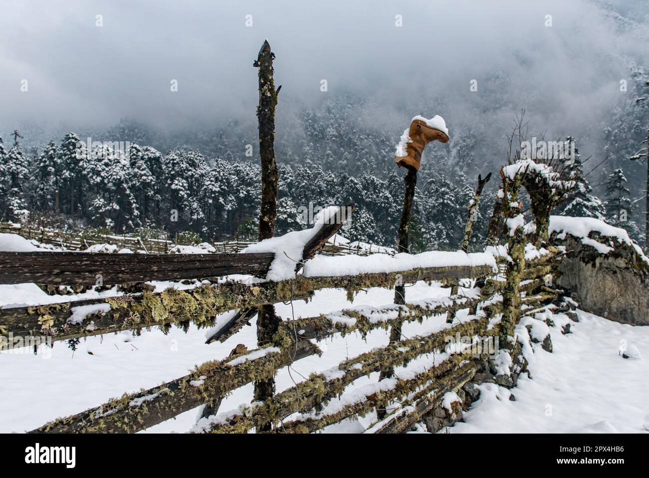 Yumthang Valley, North Sikkim is a paradise on earth, which is full of ...