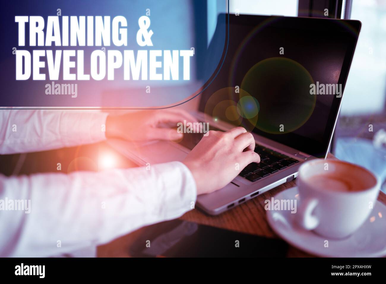 Conceptual display Training Development, Business overview Organize Additional Learning expedite ...