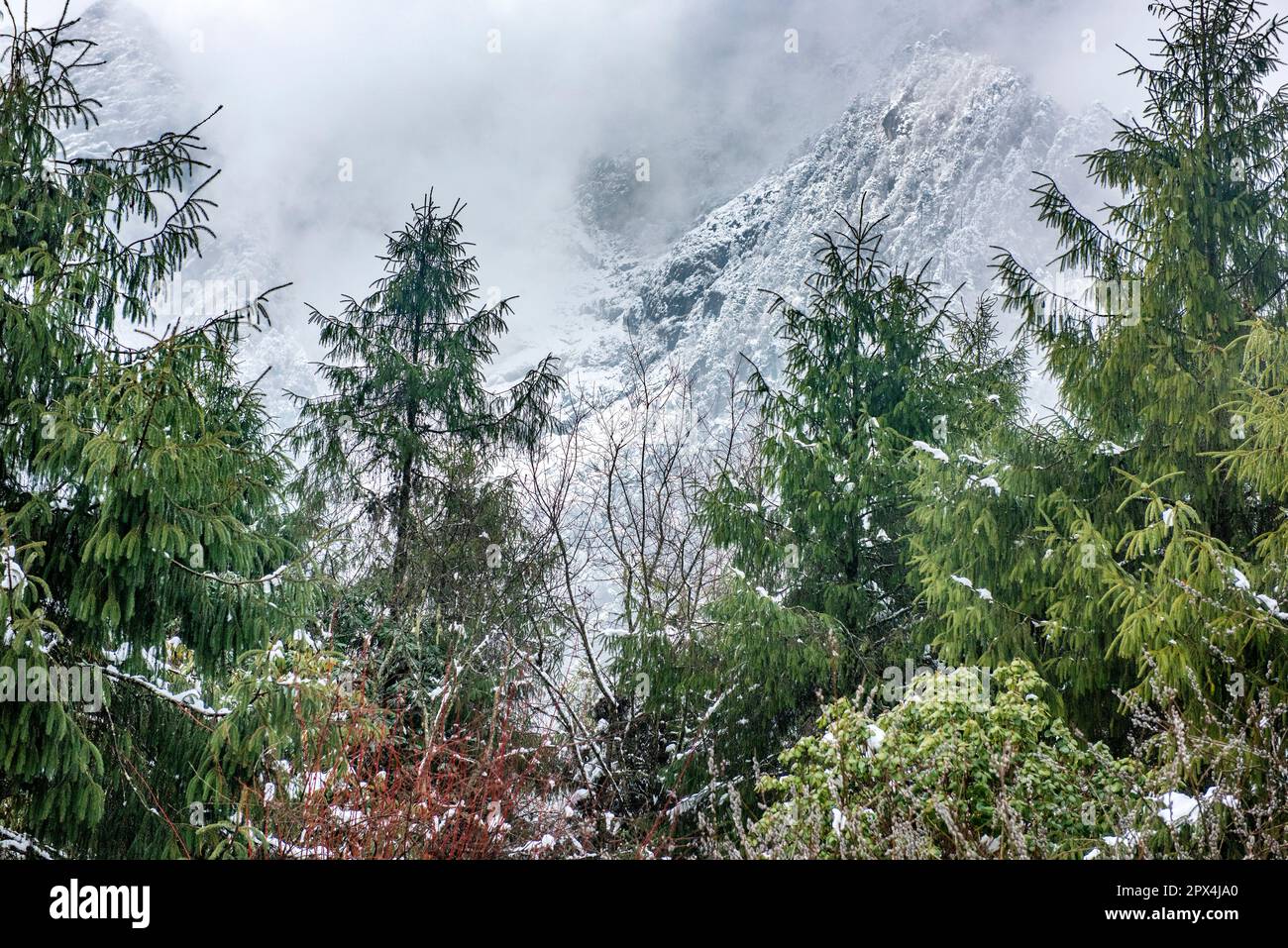 Yumthang Valley, North Sikkim is a paradise on earth, which is full of ...