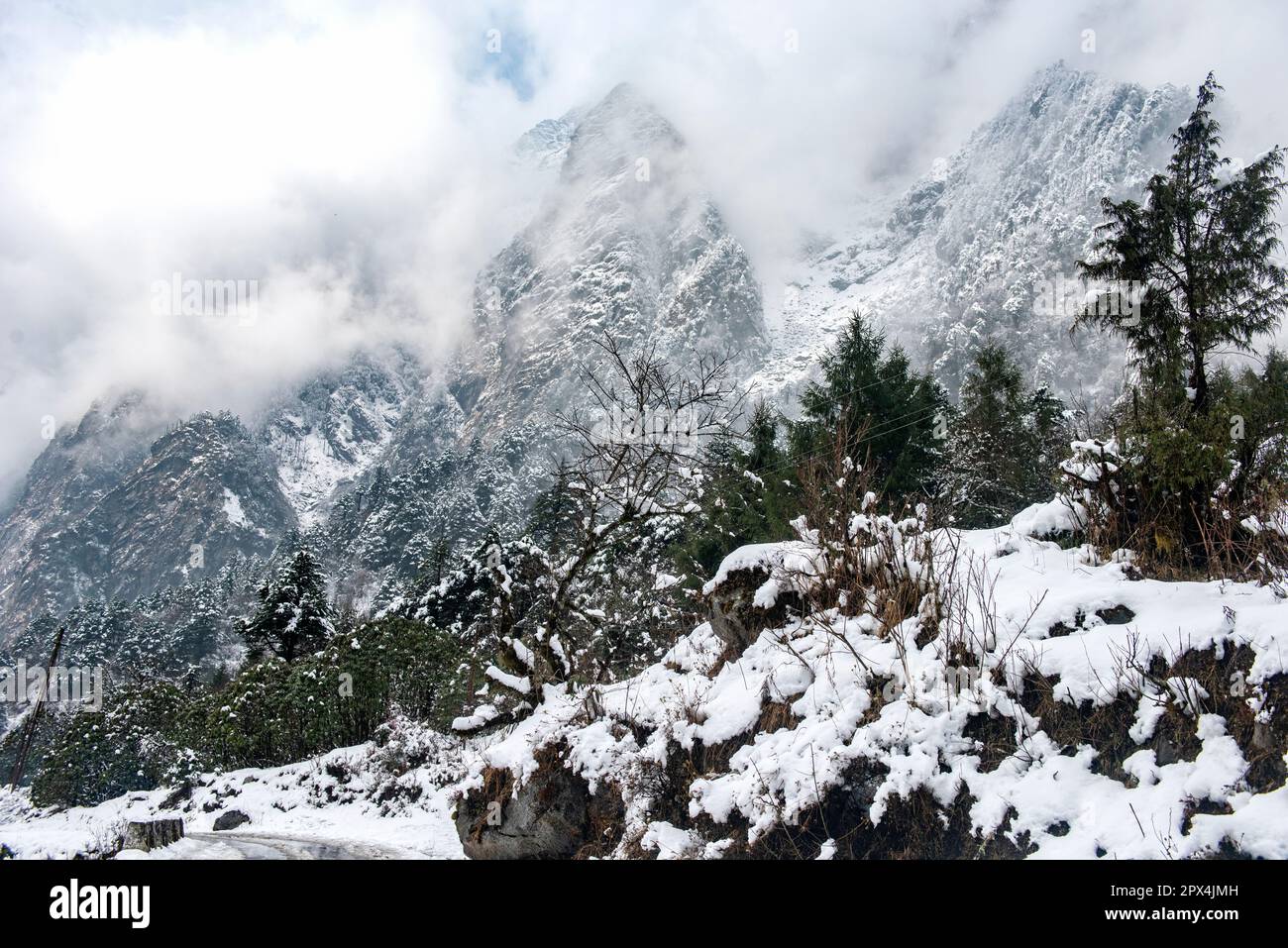 Yumthang Valley, North Sikkim is a paradise on earth, which is full of ...