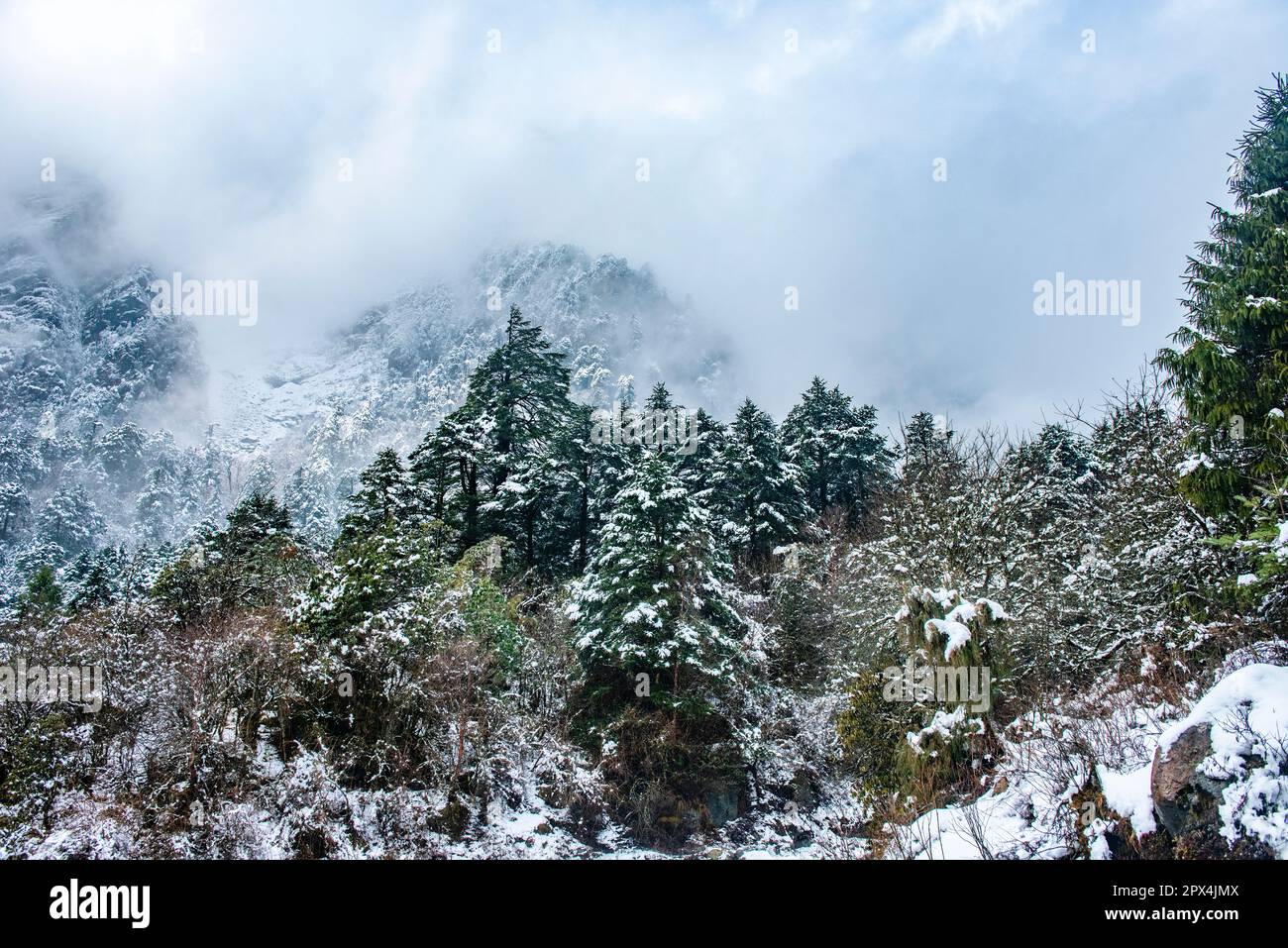 Beautiful sikkim scenaries hi-res stock photography and images - Alamy