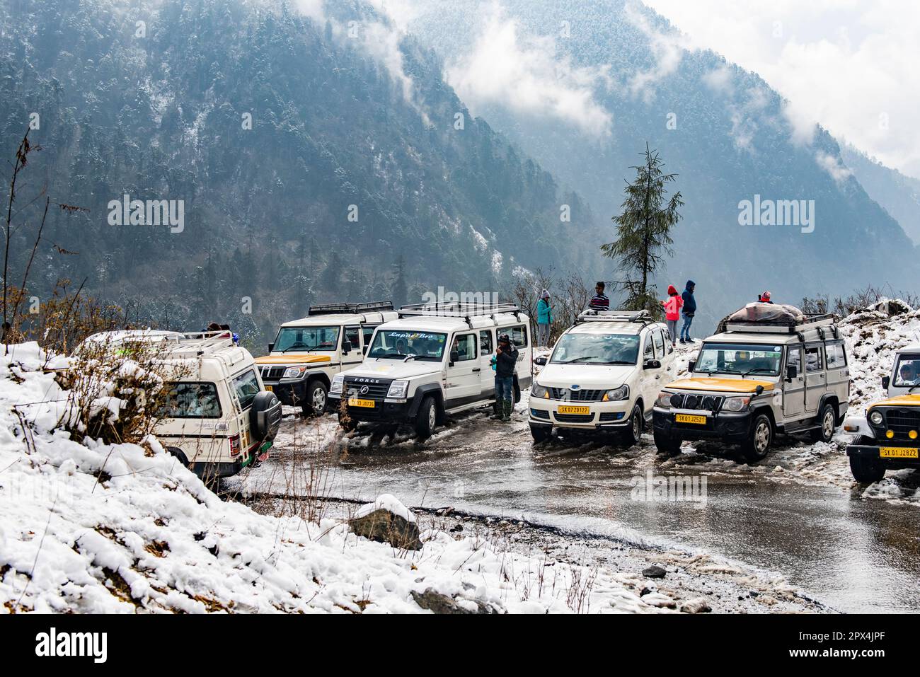 Yumthang Valley, North Sikkim is a paradise on earth, which is full of ...