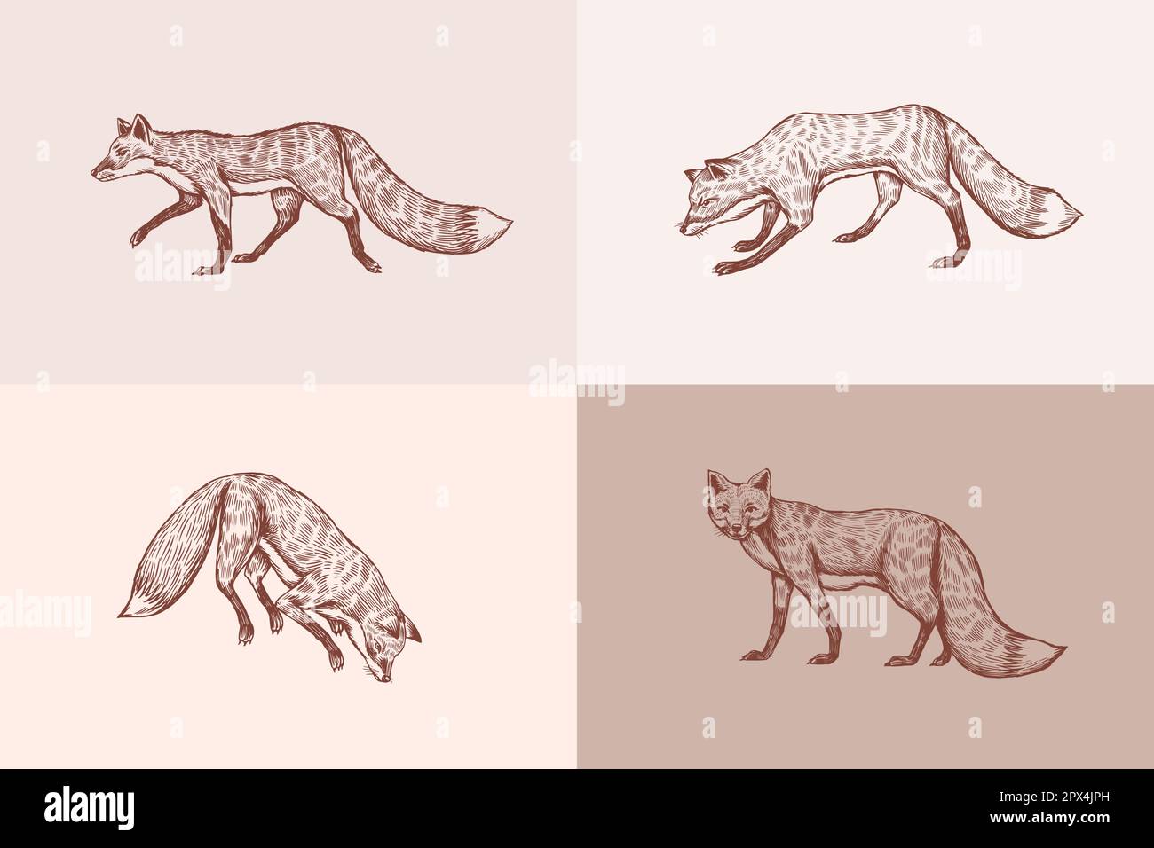 Wild red fox set. Forest ginger animal flying and jumping. Vector ...