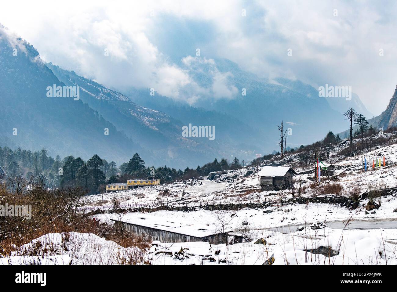 Yumthang Valley, North Sikkim is a paradise on earth, which is full of ...