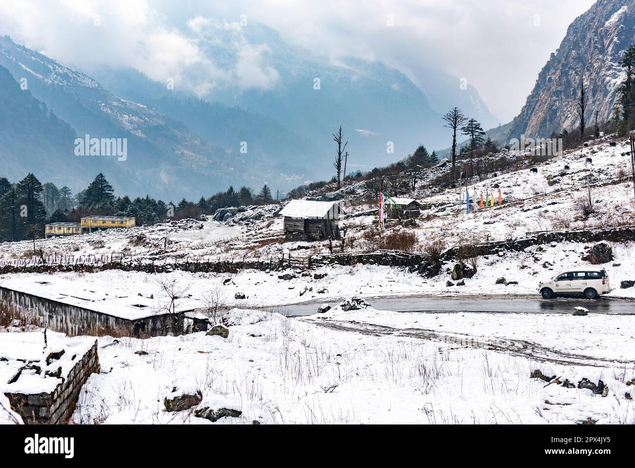 Yumthang Valley, North Sikkim is a paradise on earth, which is full of ...