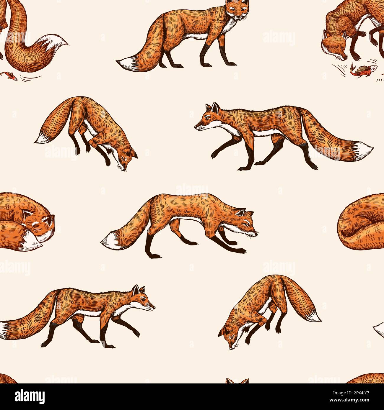 Fox Illustration Jump